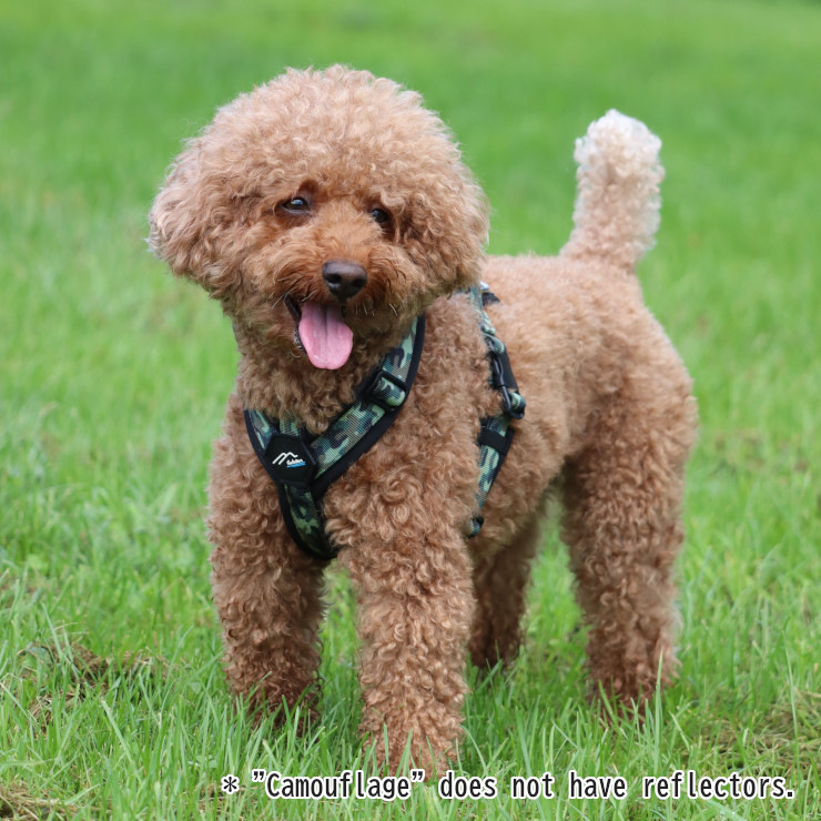 Zero Harness – Hakusan