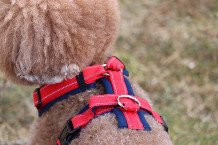 Zero Harness – Hakusan