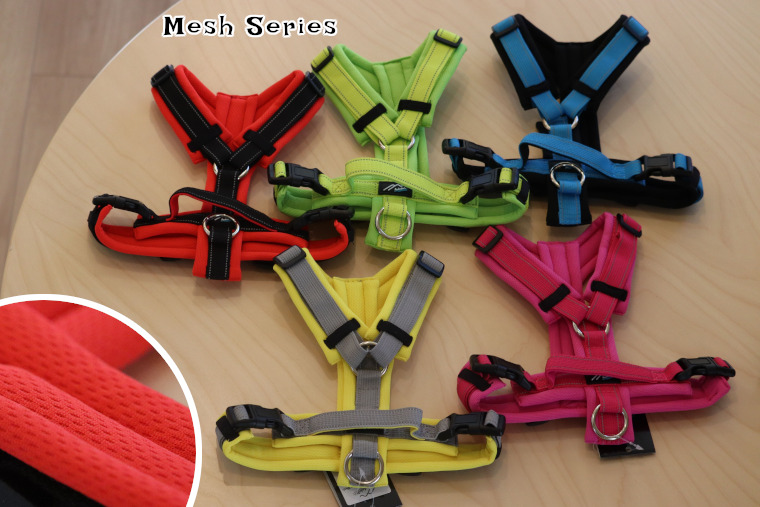 Zero Harness – Hakusan